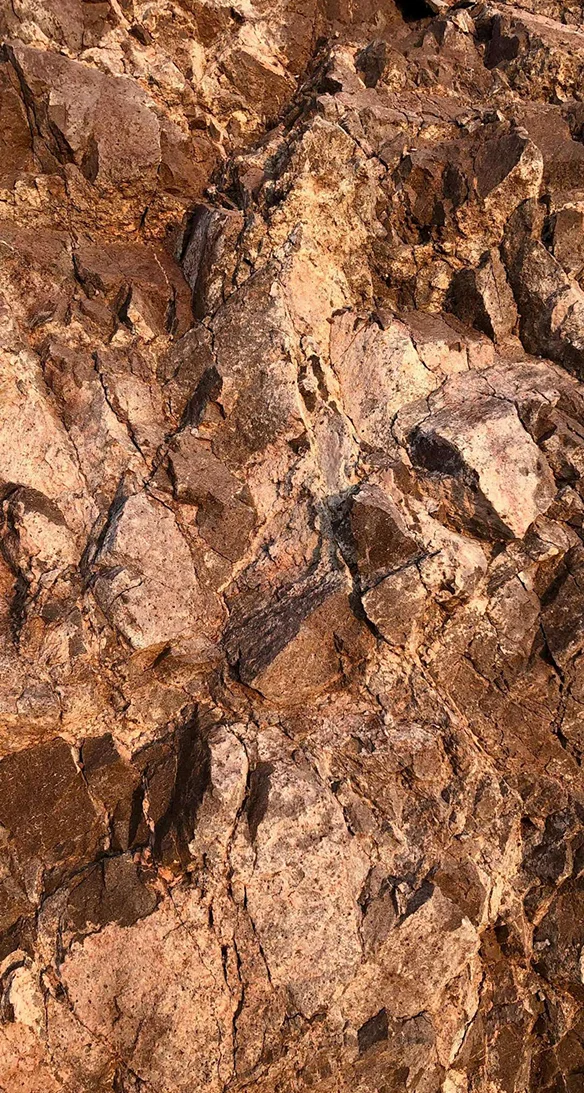 Mumbai’s premier Real Estate Developers - Lotus Developers